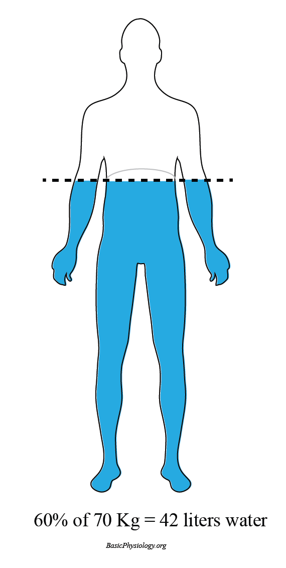 D.7. Plasma - BasicPhysiology.org