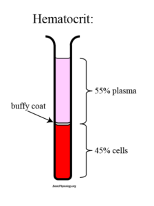 D.1. Introduction Blood – BasicPhysiology.org